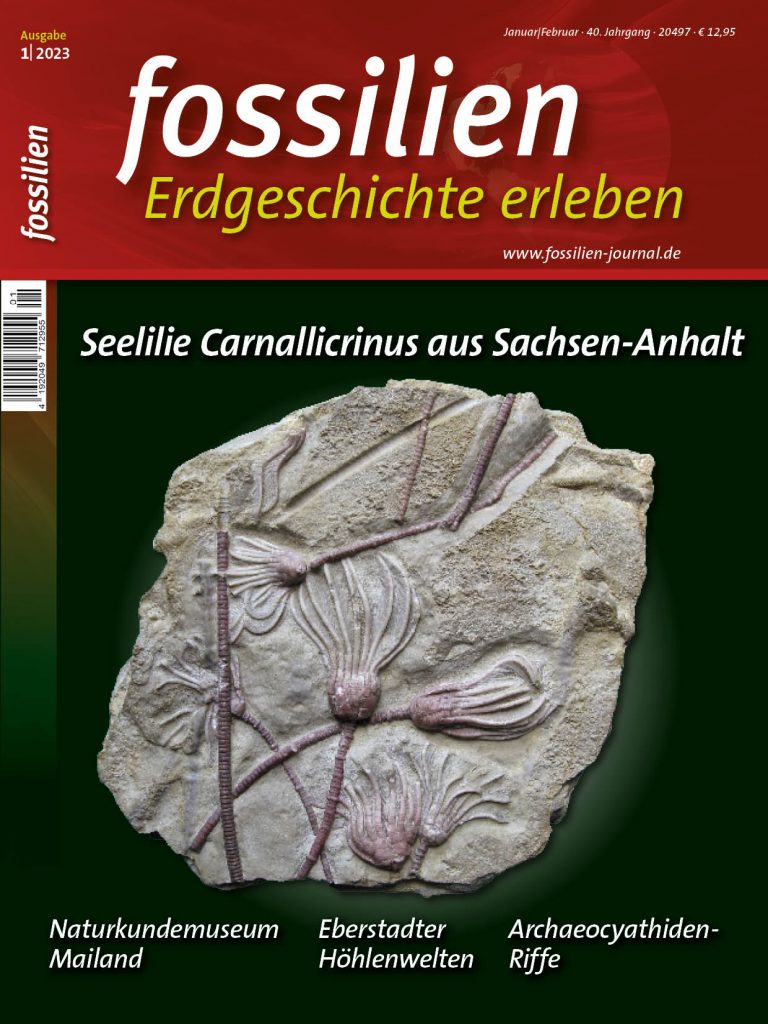 Fossilien 1/2023